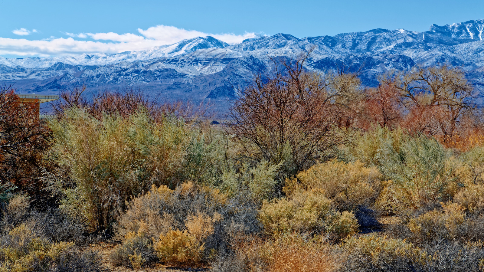 Nevada's Unexpected Lush Oasis In The Desert National Wildlife Refuge ...