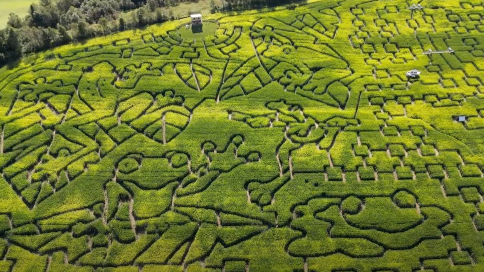 New England's Largest Corn Maze Is An Intricate Masterpiece Recognized ...