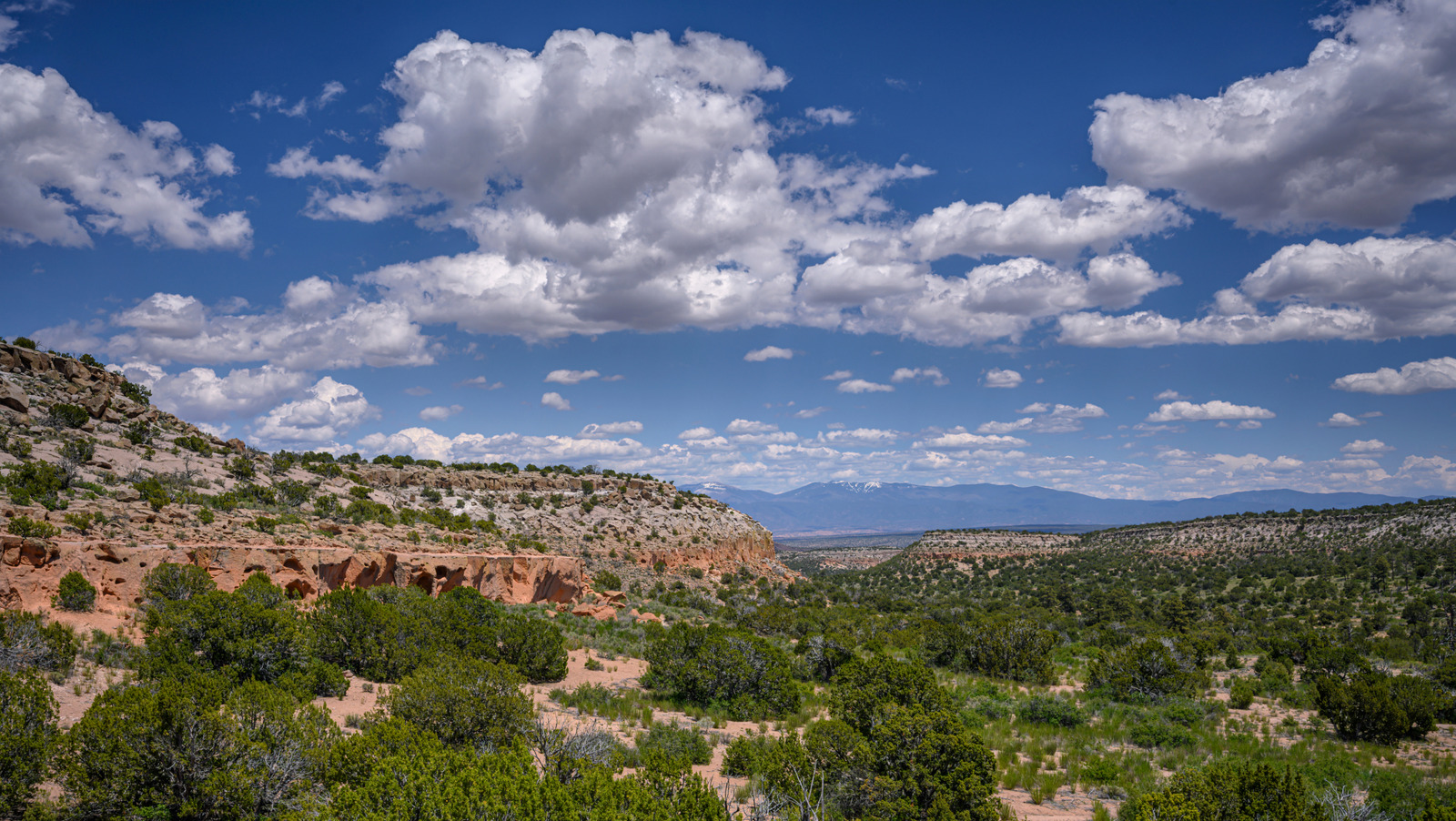 New Mexico's Stunning Land Of Canyons, Mesas, Cliffs And Petroglyphs Is ...