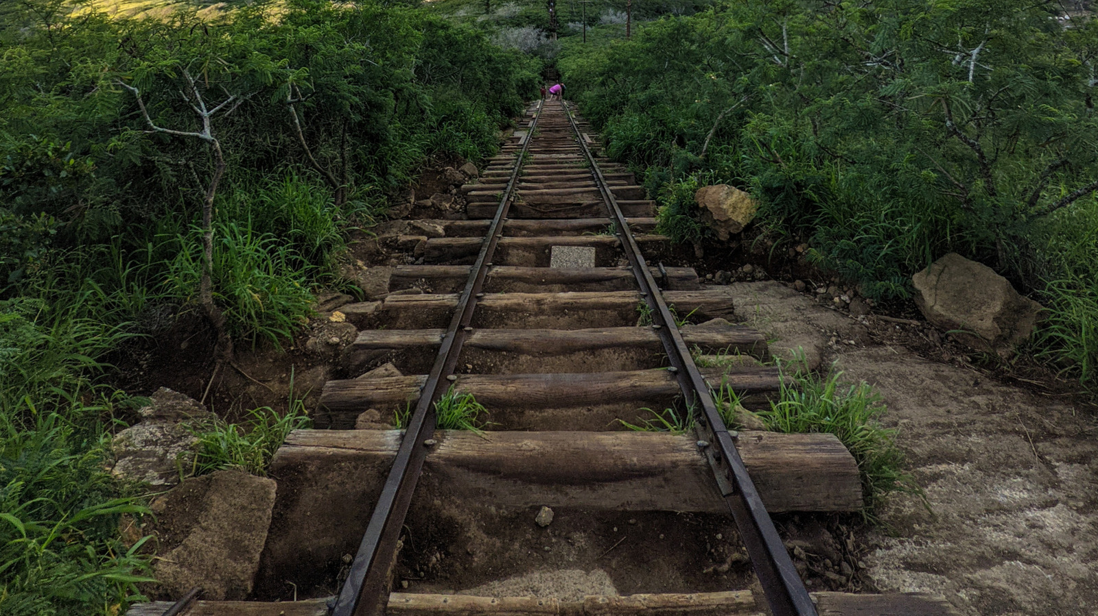 Oahu's Cliffside Trail Unveils Breathtaking Views Of Crystal Clear Bays ...