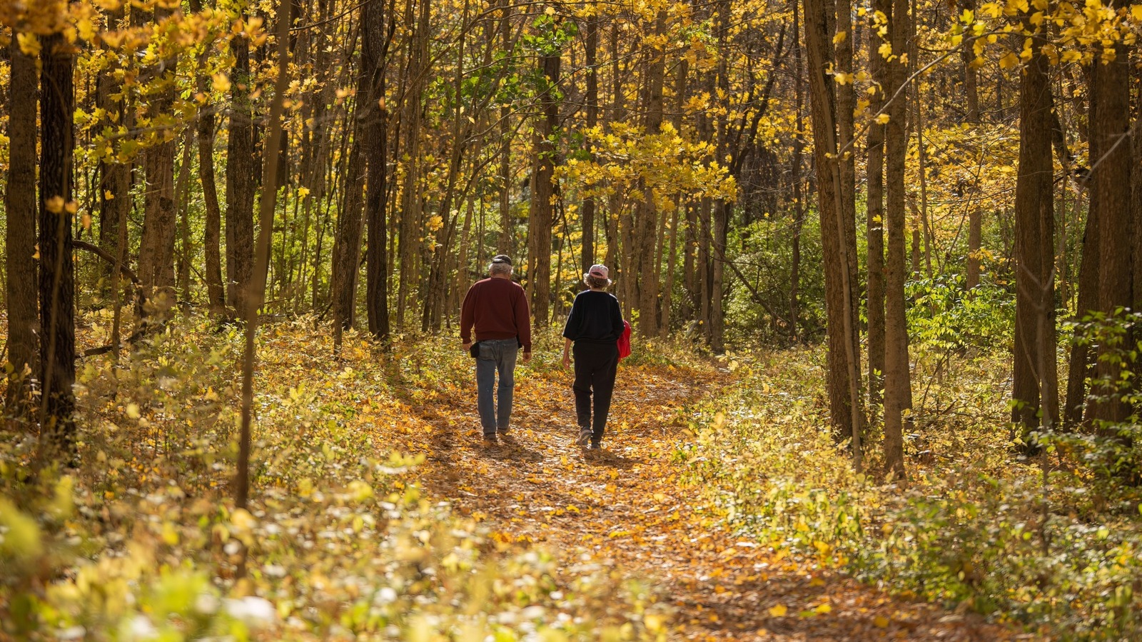 Ohio's Peaceful City Is A Riverside Hideaway With Forest Hikes, Lazy ...