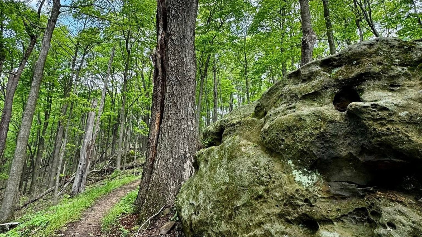 Ohio's Secret Valley State Park Offers Challenging Trails And Scenic ...
