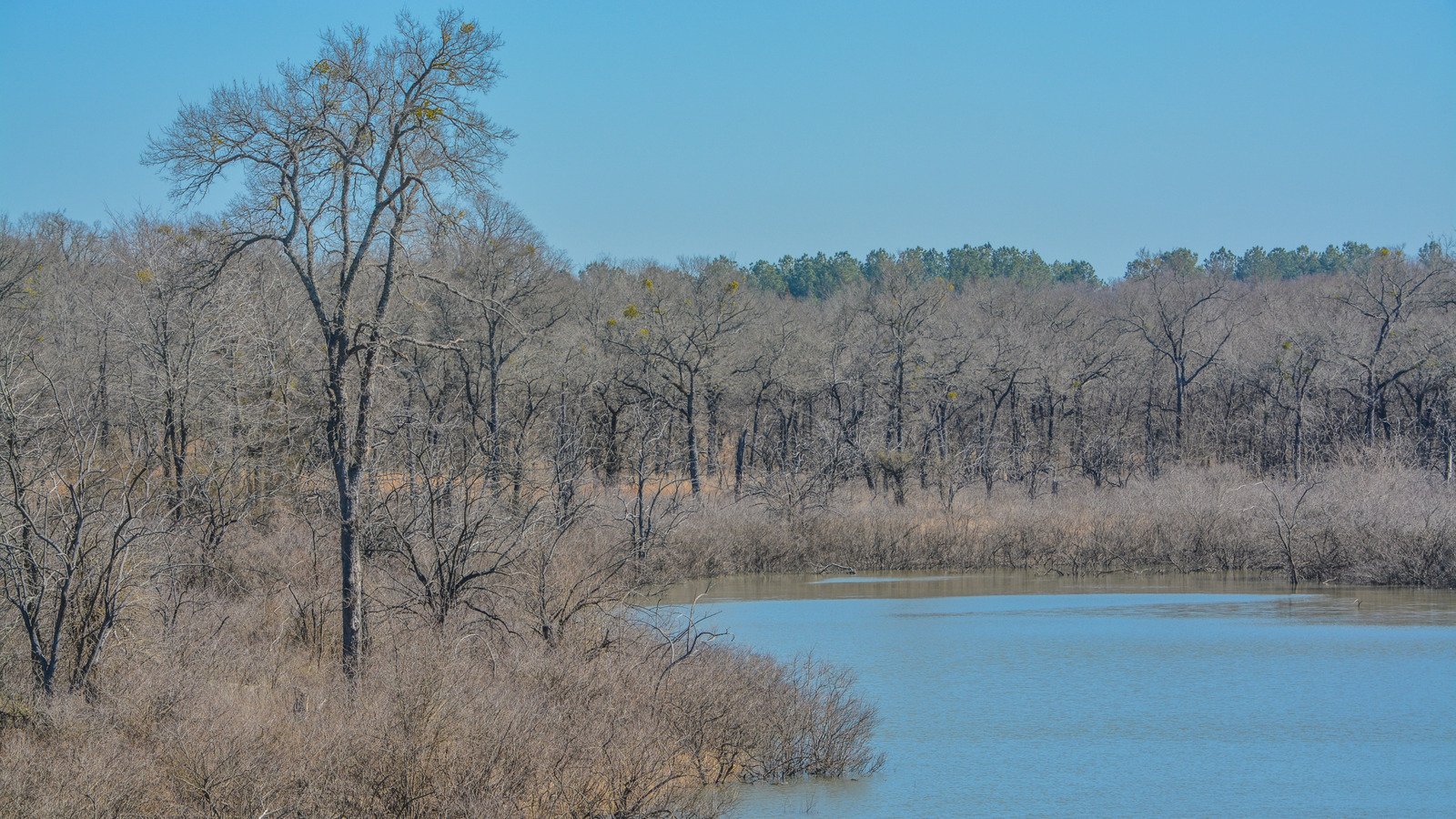 Oklahoma's Hugo Lake Is A Secluded Paradise With Shoreline Campsites