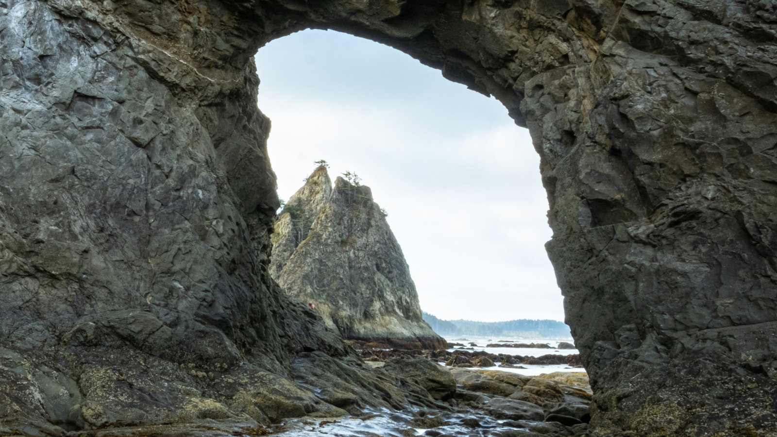 Olympic National Park's Best Beach Is A Hidden Paradise To Spot ...