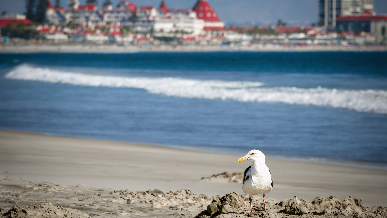 One Of 2024's Best Beaches In America Was A California Gem Now Sadly ...