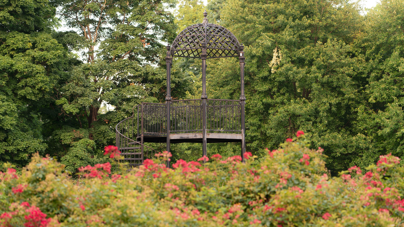 One Of America's Largest Public Rose Gardens Is A Free Floral Park In ...