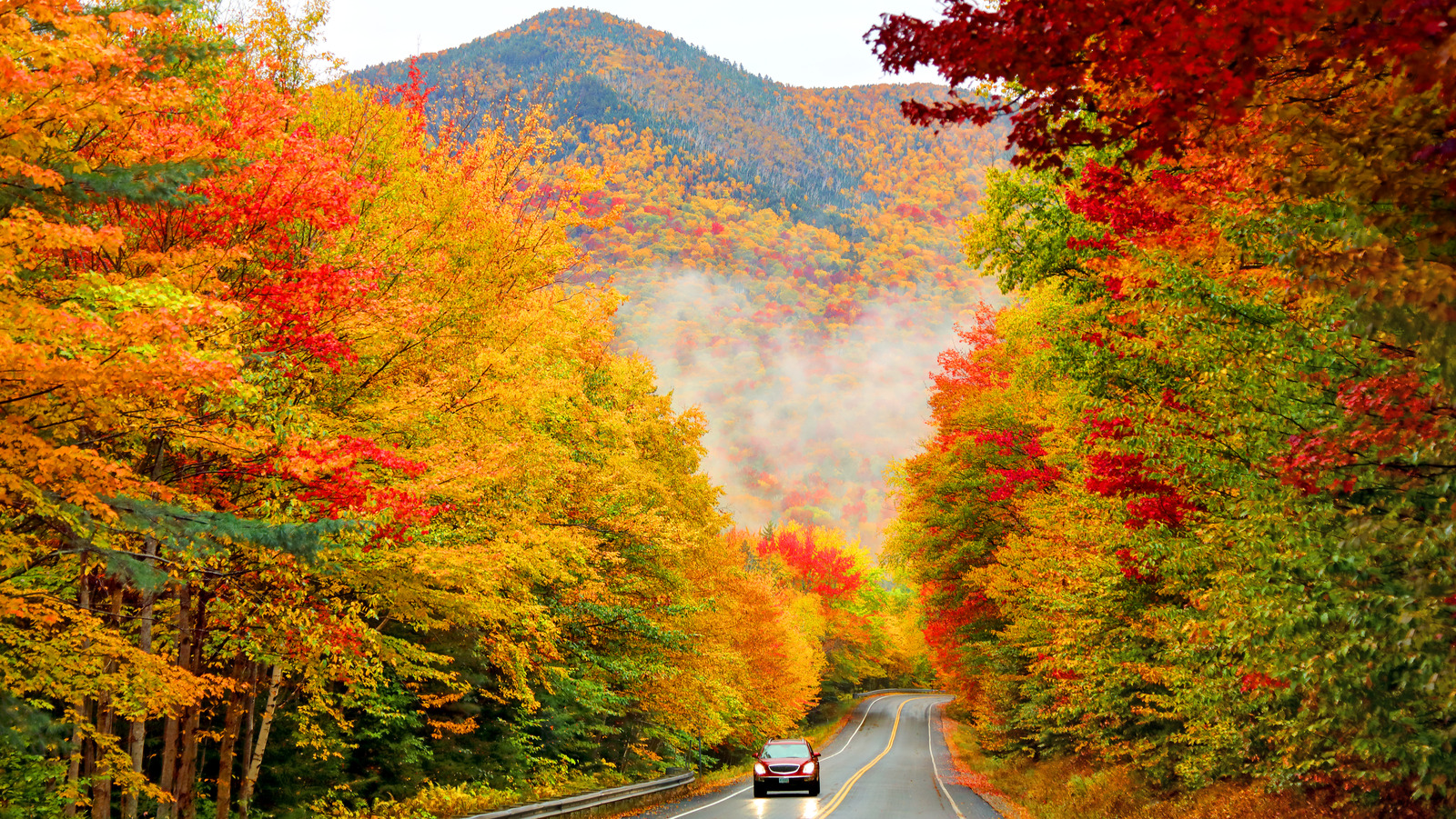 One Of America's Most Colorful Roadways Is A Popular Tourist Spot Full ...