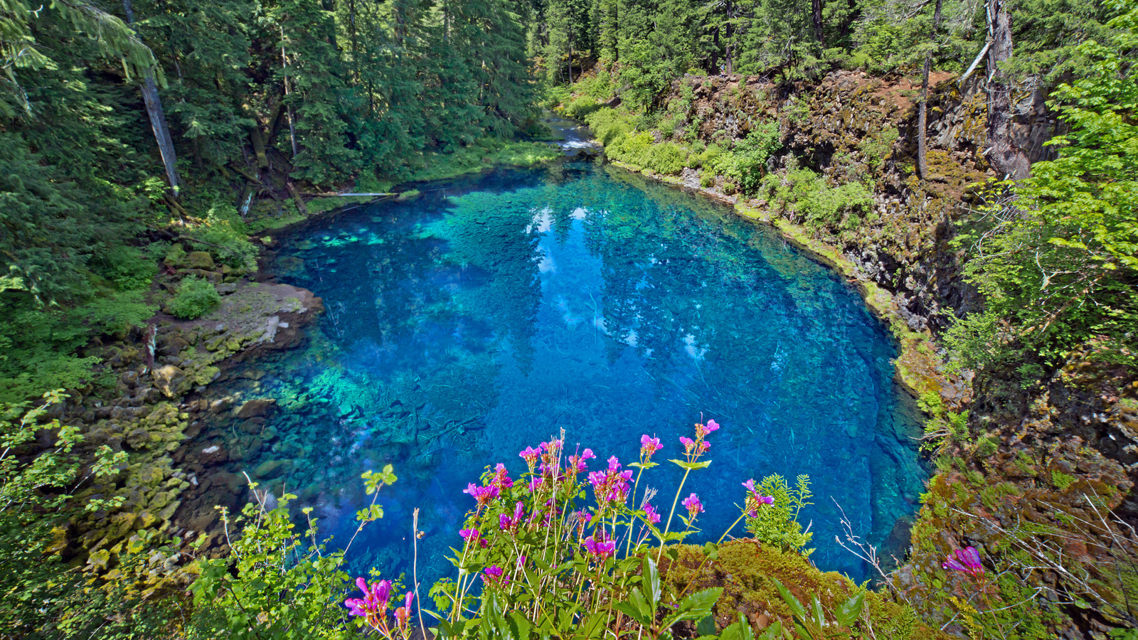 One Of America's Most Vibrantly Blue Bodies Of Water Is Hidden In The ...