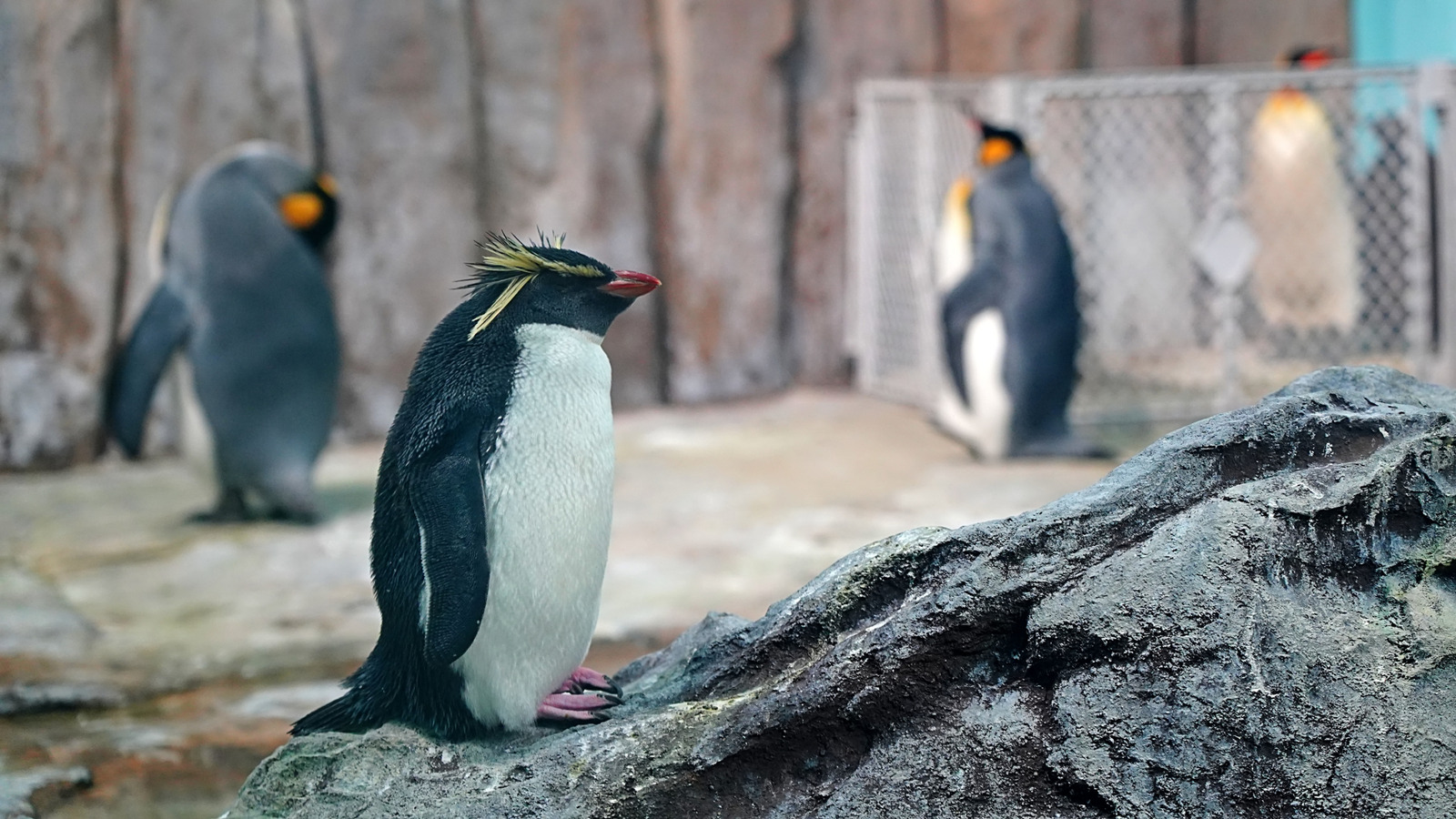 'One Of Canada's Best Attractions' Is A Unique Immersive Biodome Museum ...