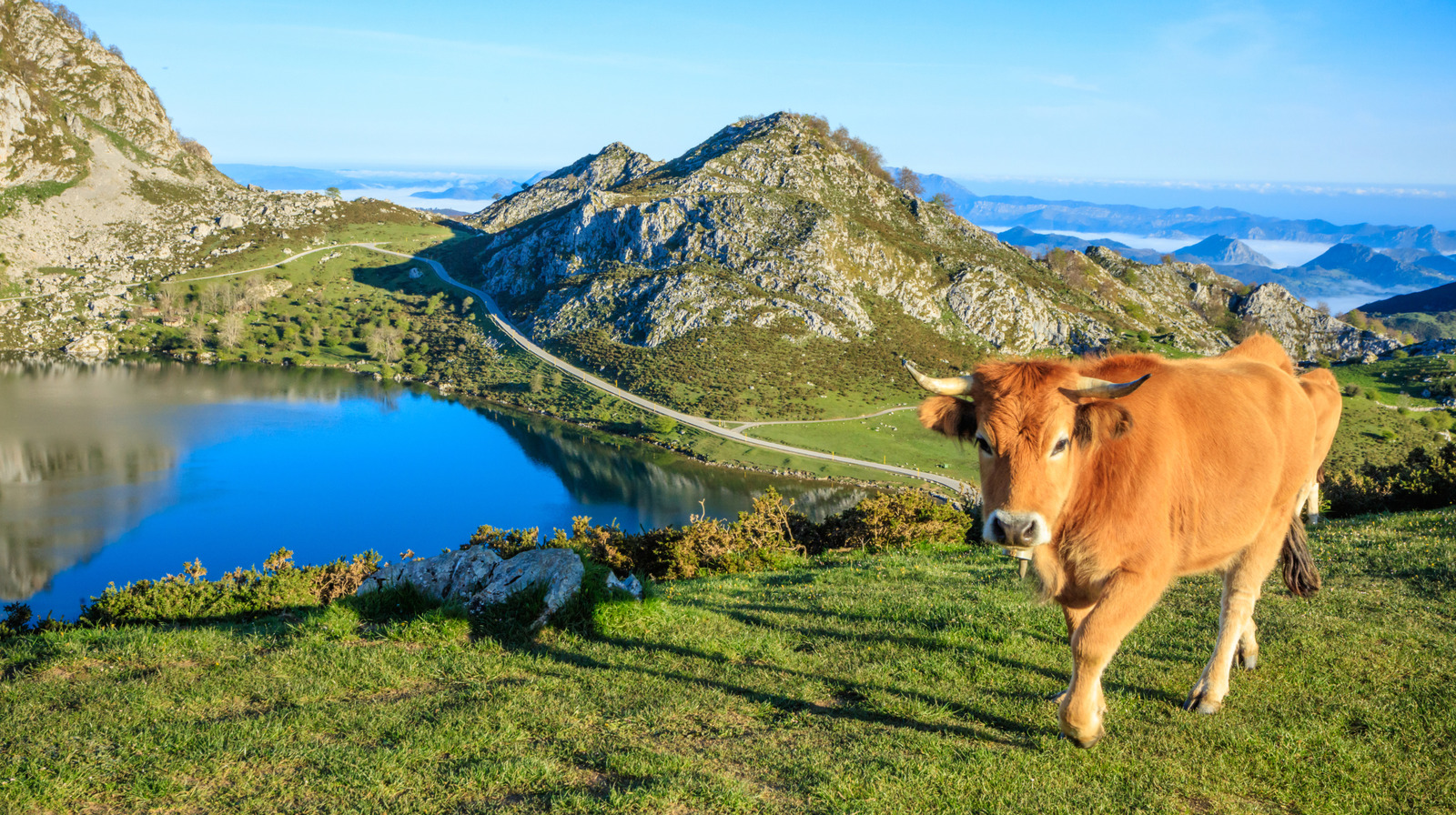 One Of Europe's Prettiest National Parks Is A Spanish Gem With Scenic ...