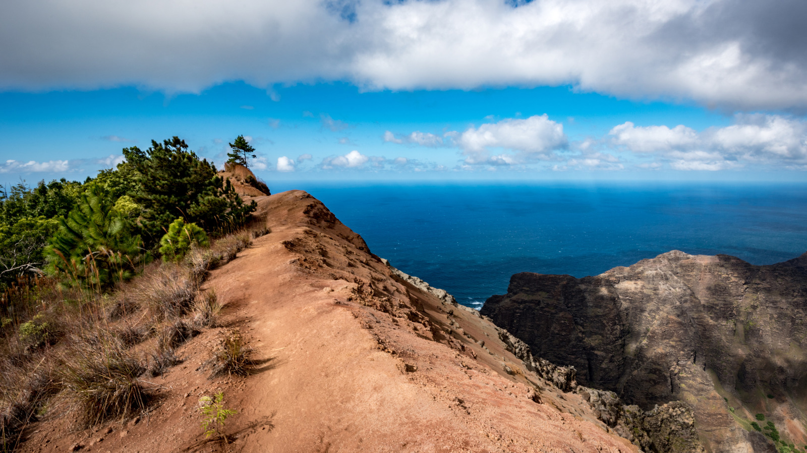 One Of Hawaii's Most Overlooked Hikes Is A Half-Day Trek With Muddy ...