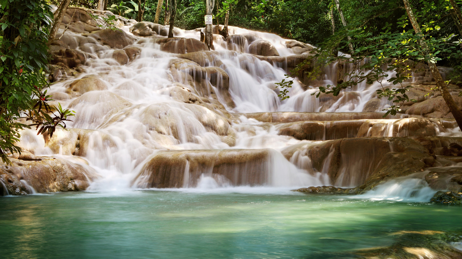 One Of Jamaica's Most Beloved Activities Blends Natural Waterfall ...