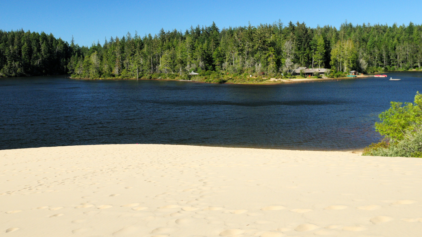 One Of Oregon's Most Popular Swim Beaches Is A State Park Stunner ...