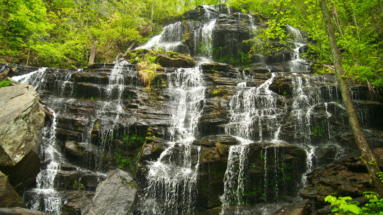 One Of South Carolina's Best-Kept Secrets Is A Hidden Waterfall Wrapped ...