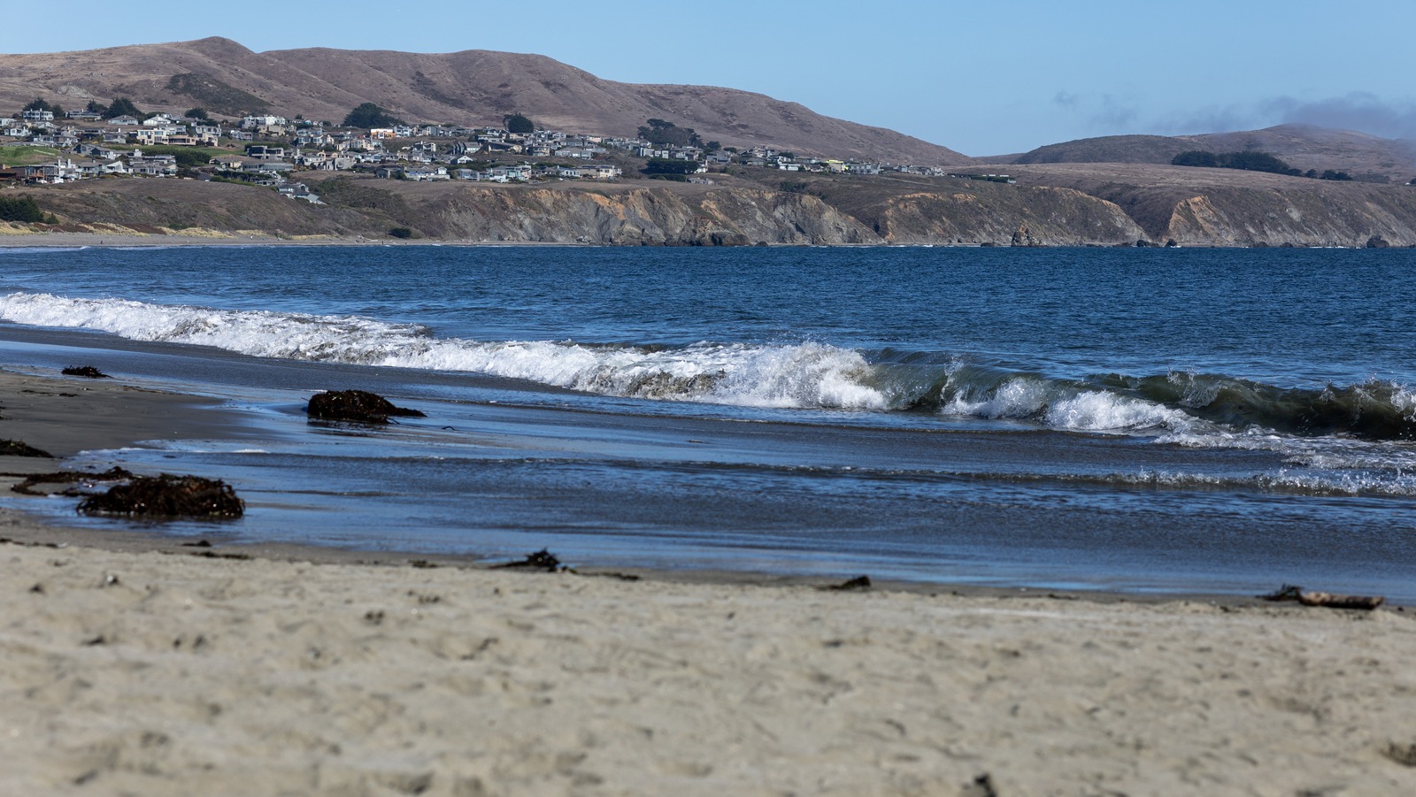 One Of The Sonoma Coast's Best Spots Is A Sandy California Beach With ...