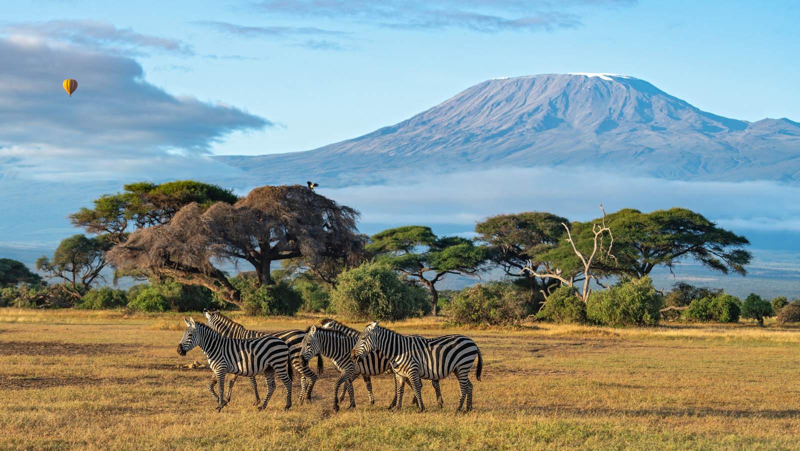 One Of The World's Best Countries To See Wildlife Is A Warm Locale In ...