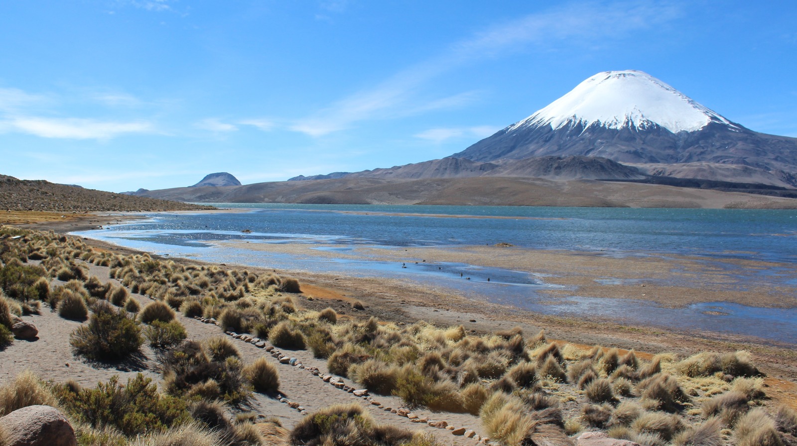 One Of The World's Highest Lakes Is Flocked With Flamingos And Cradled ...