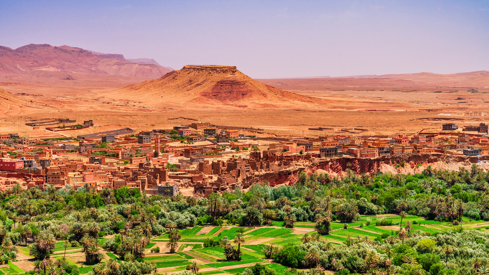 One Of The World's Largest Oases Is A Picturesque Verdant Palm Forest ...