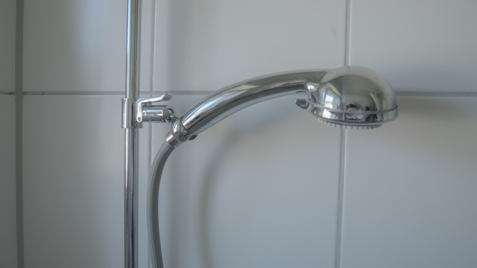 One Thing Missing From Most European Showers American Tourists Will ...