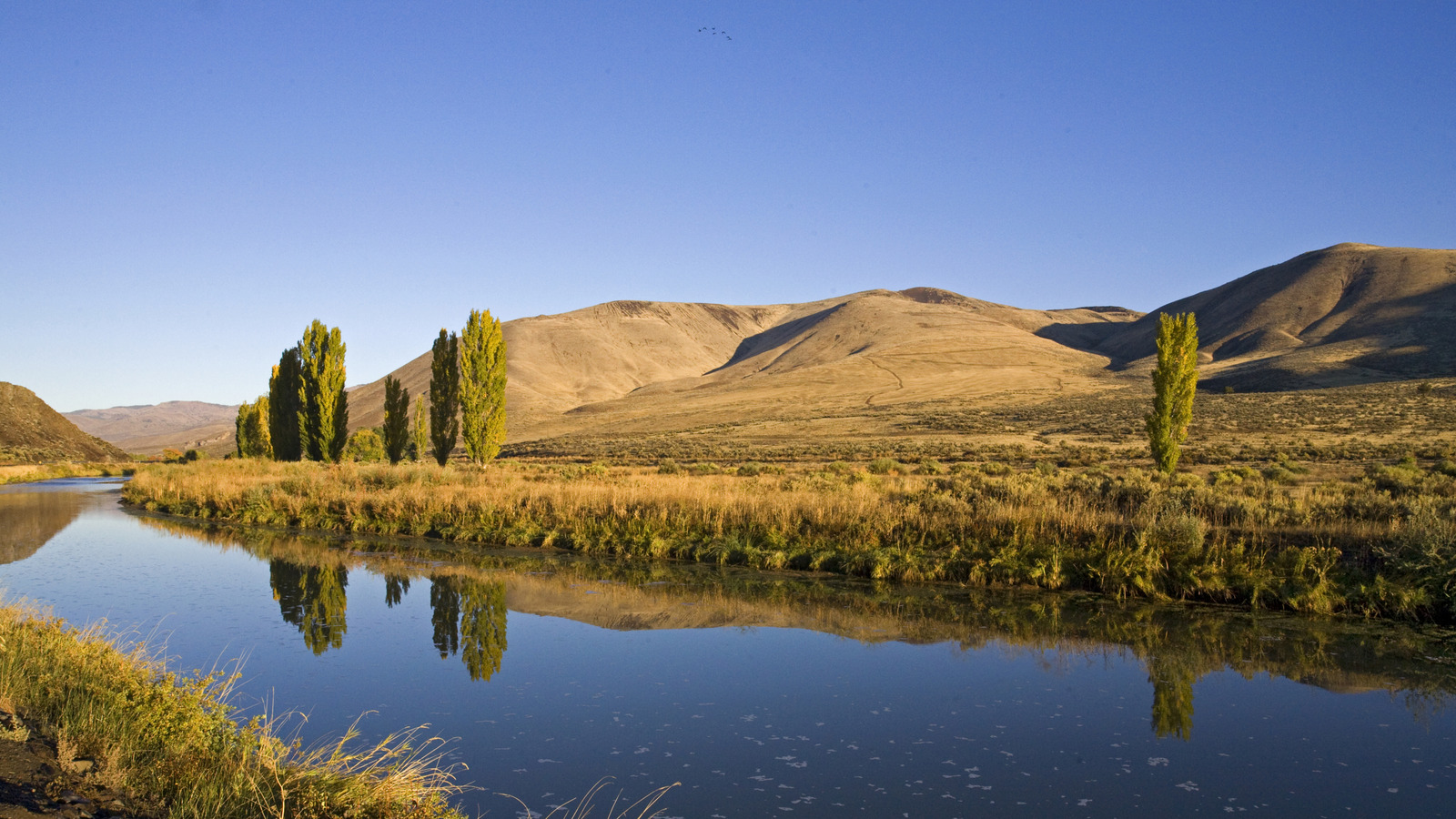 Oregon's Beautiful River With An Unfortunate Name Winds Through A ...