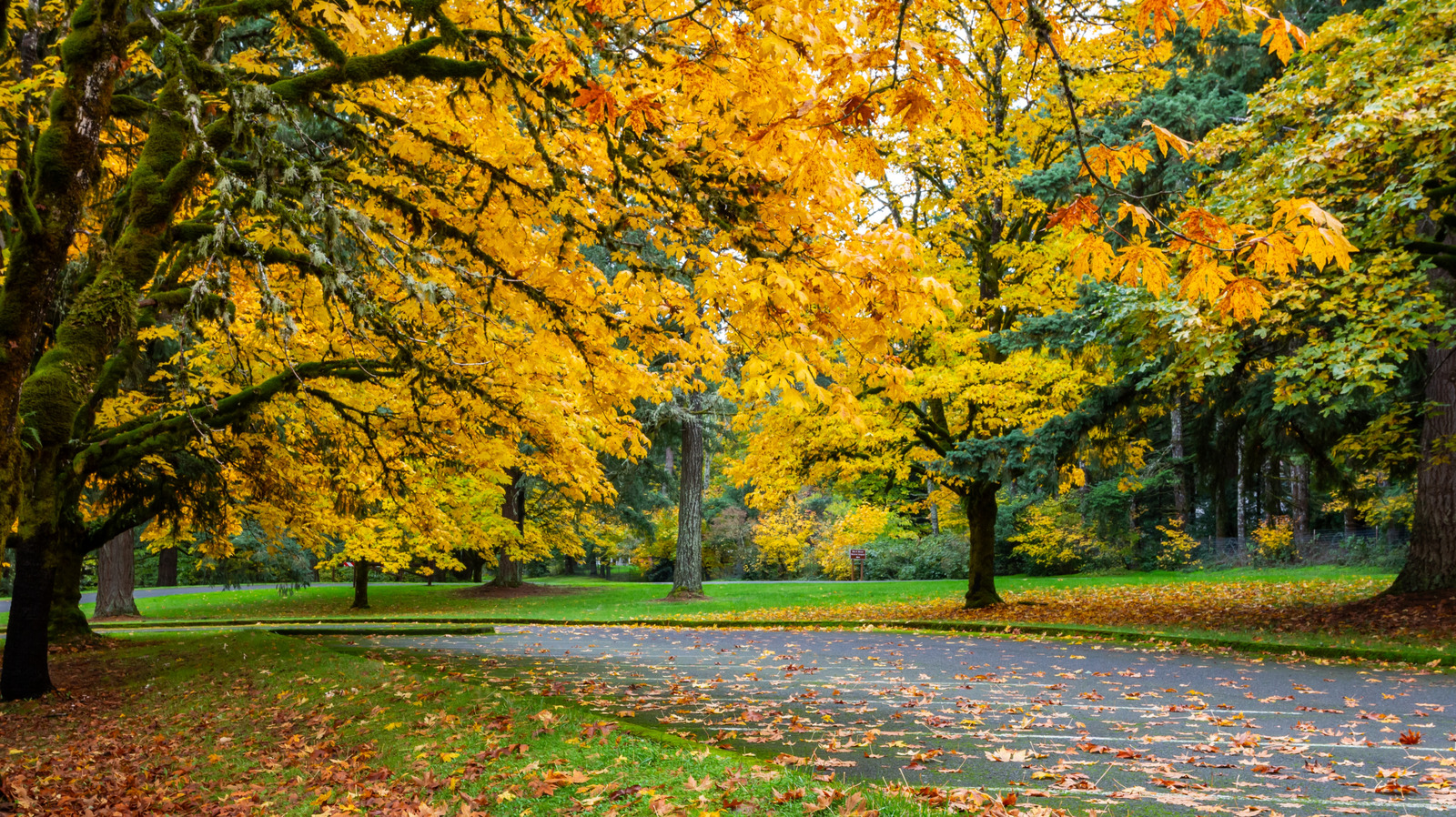 Oregon's Century-Old Timber Town Is The Birthplace Of Geocaching And A ...
