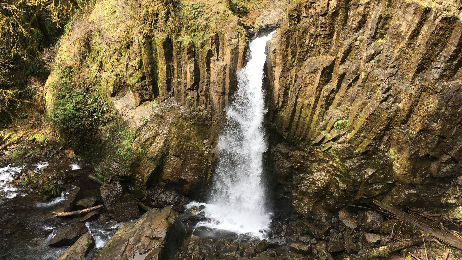 Oregon's Coast Is Hiding Its Most Mesmerizing Waterfall Surrounded By ...
