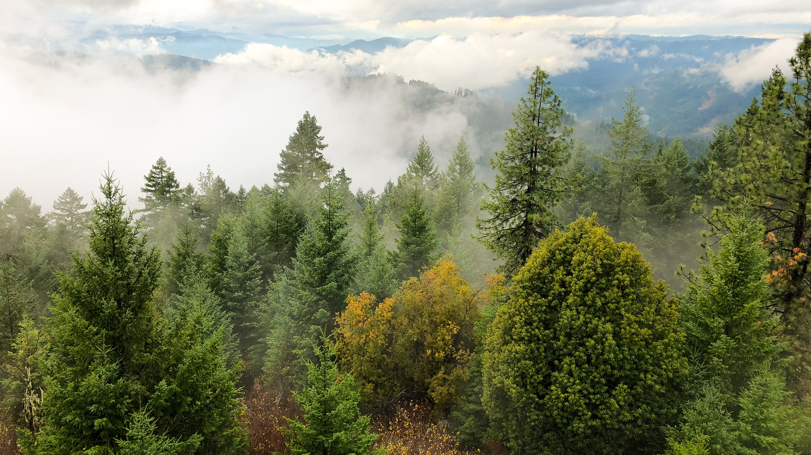 Oregon's Prominent Twin Pinnacles In Umpqua National Forest Offer ...