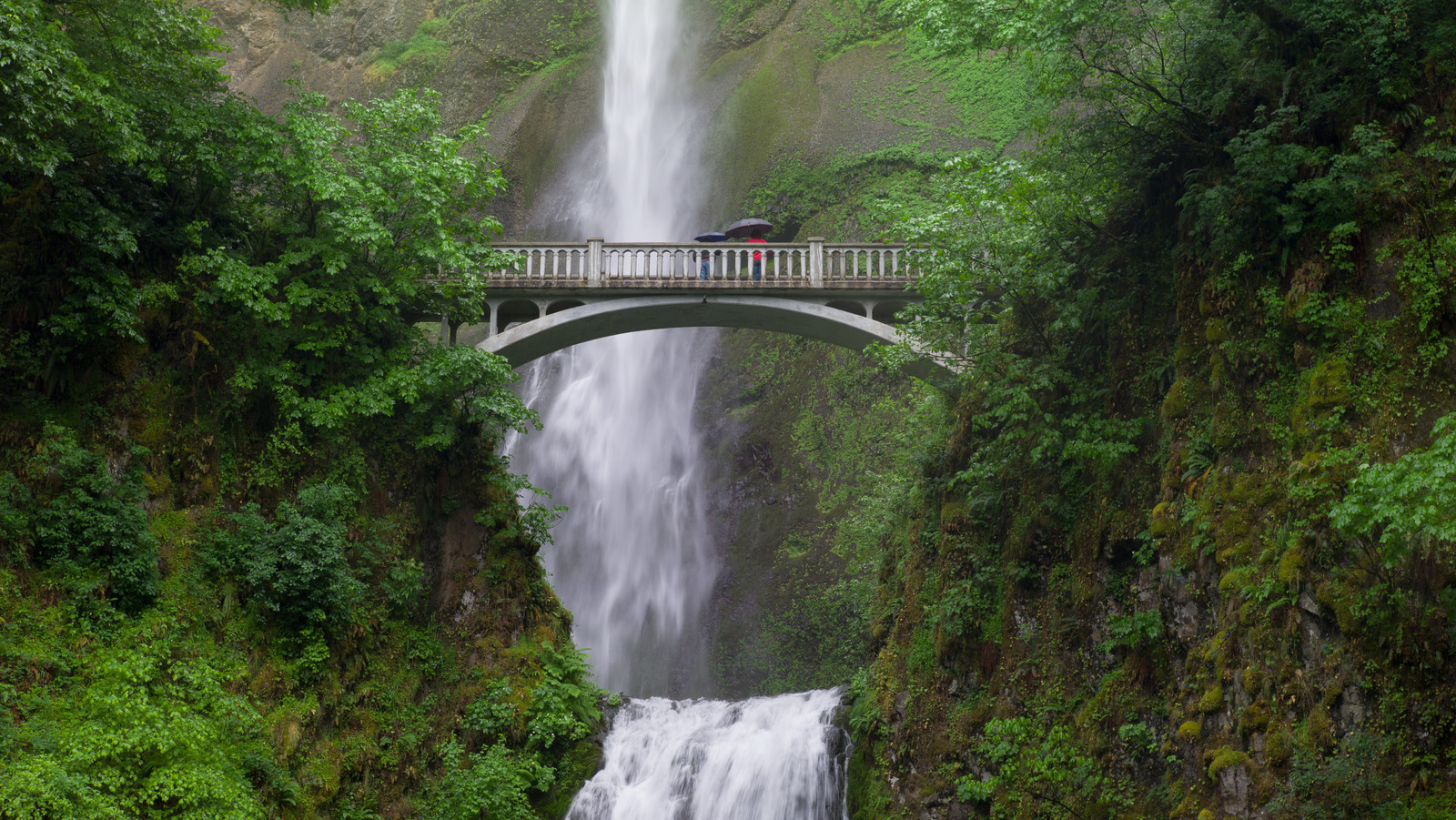 Oregon's Tallest Waterfall Is An Ethereal Year-Round Destination With ...