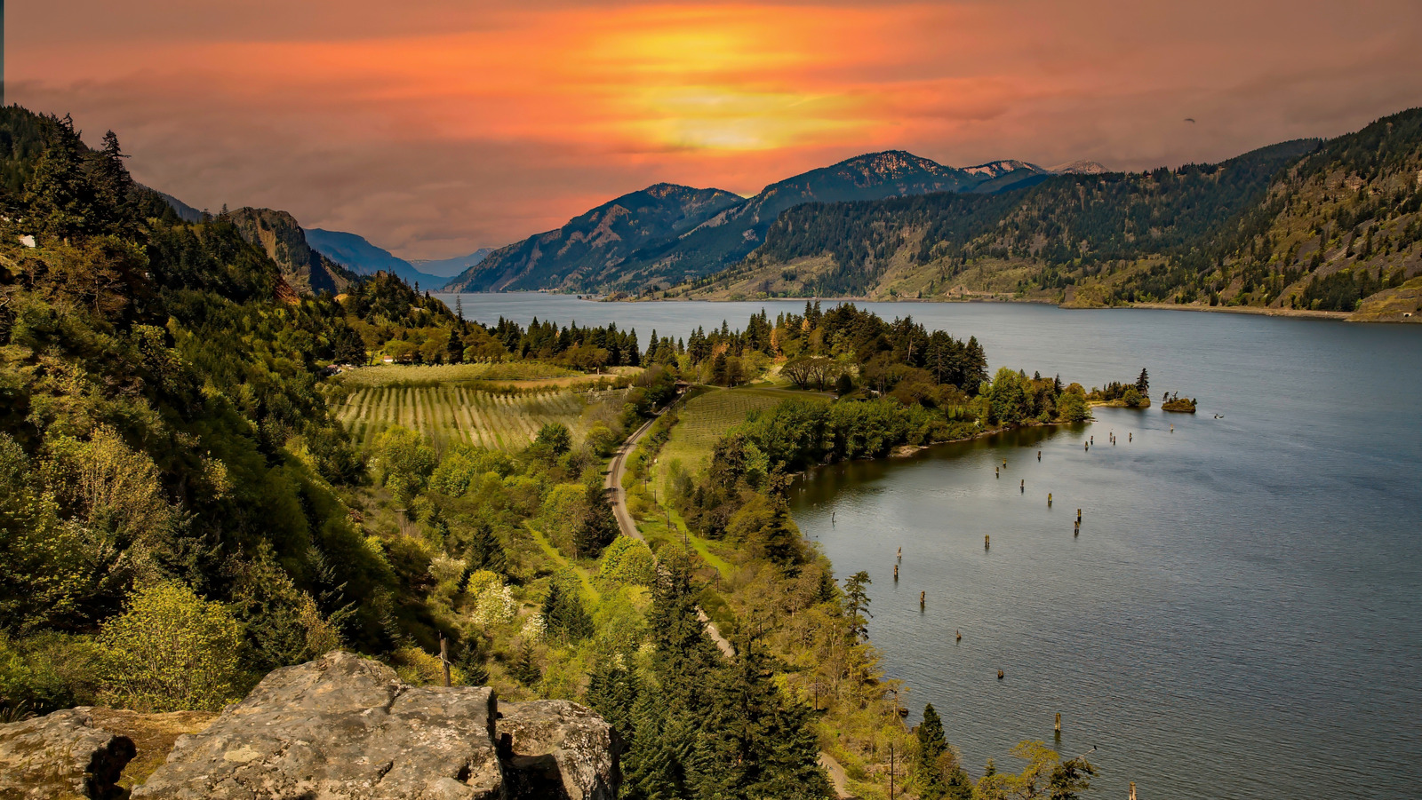 Oregon's Top 2025 Fall Foliage Spot Is A Pacific Northwest Hub For ...