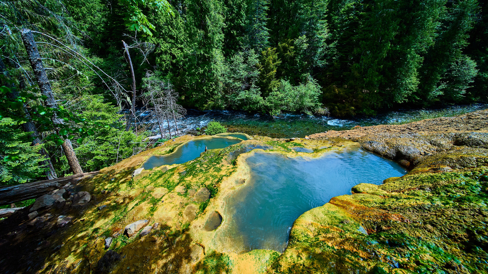 Oregon's Wilderness Hot Springs Are Magical In The Snow, Here's How To ...