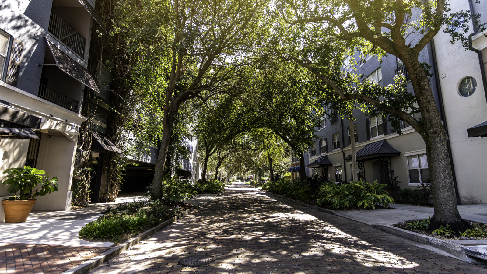 Orlando's Underappreciated 'Main Street District' Has An Art-Filled ...