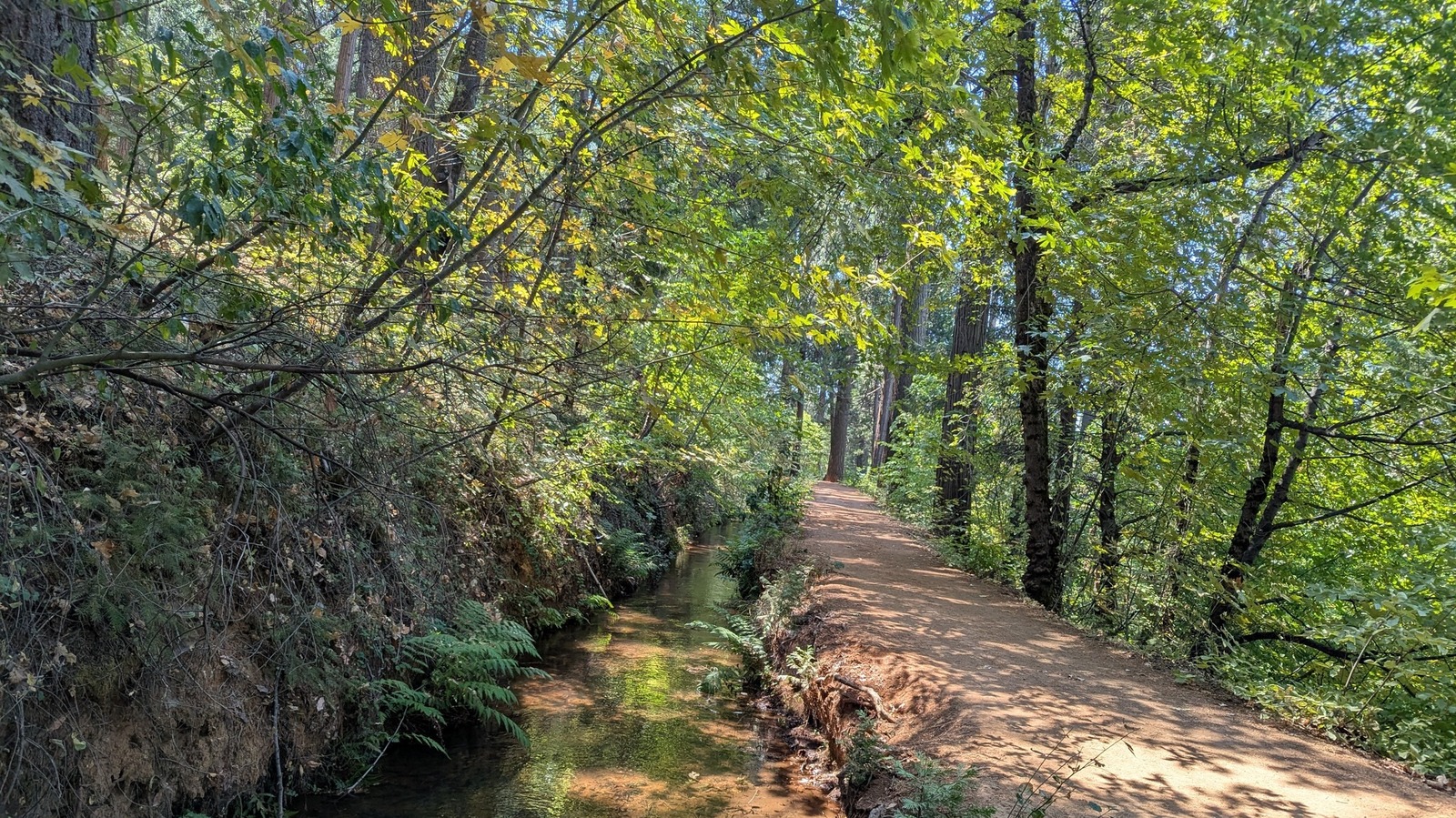 Outside Sacramento Is California's Popular Walking Trail With Vibrant ...