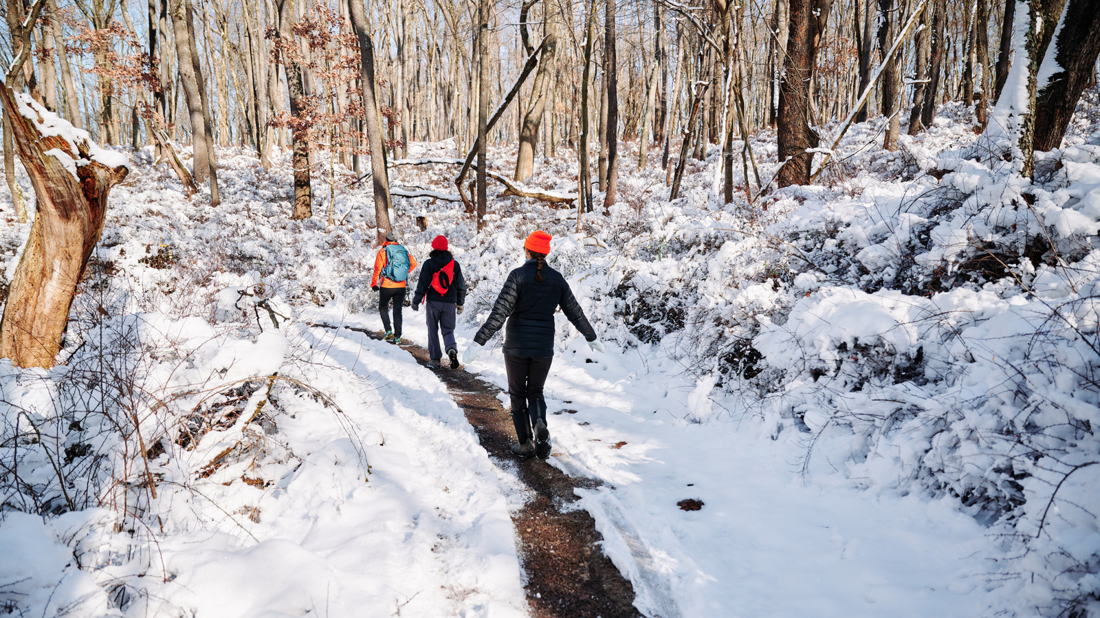 Pennsylvania's 5 Best Hiking Trails In Pittsburgh For A Scenic Outdoor ...