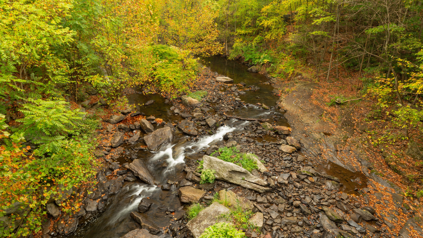 Pennsylvania's Enchanting City Park In Scranton Boasts A Large ...
