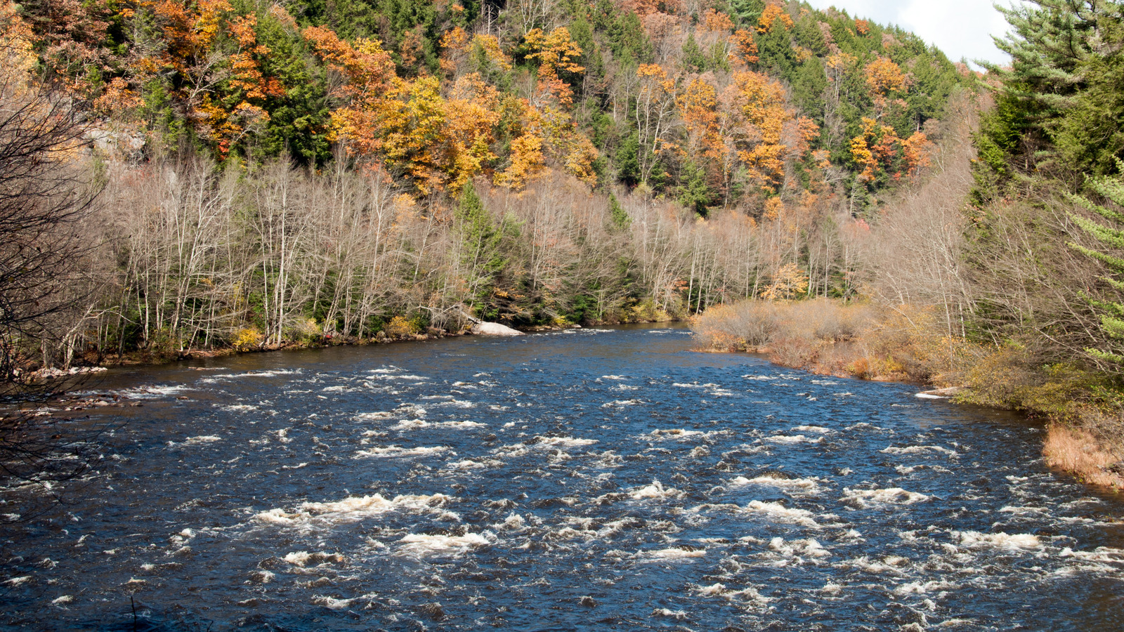 Pennsylvania's Lovely State Park Is A Gorgeous Oasis With Waterfalls ...