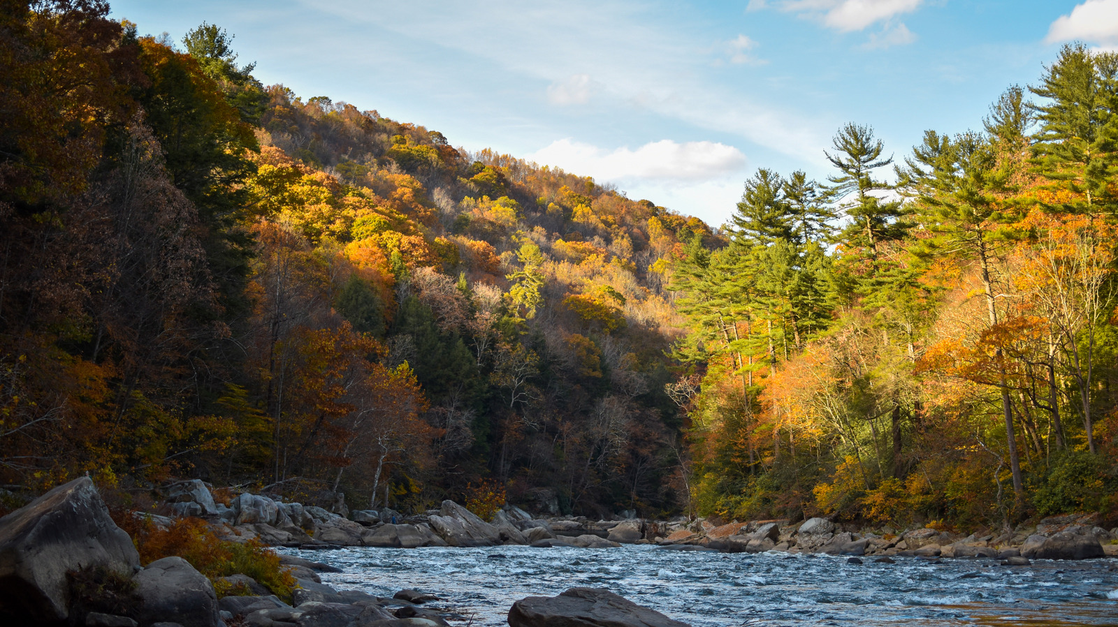 Pennsylvania's Most Scenic Byway Passes Tree-Lined Mountains And Some ...