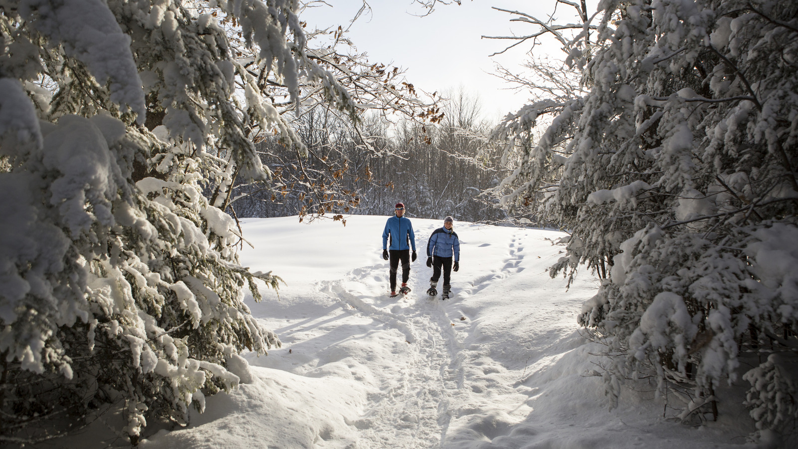 Rangers At These Snowy State Parks Loan Out Snowshoes For Free