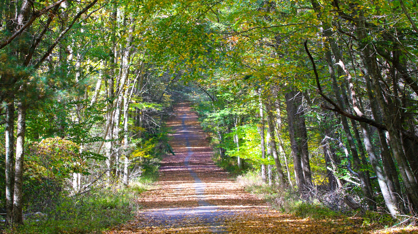 Sandwiched Between Boston And Cape Cod Is Massachusetts' Scenic State ...