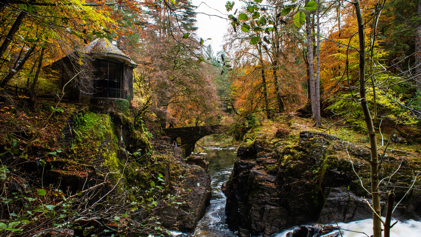Scotland's Wildly Underrated 'Big Tree Country' Is A Fall Foliage ...