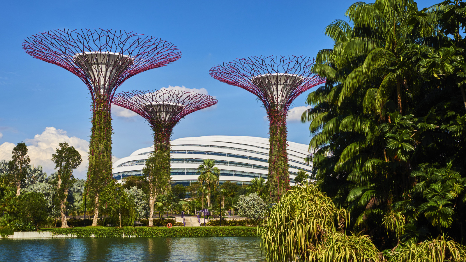 See A Grove Of Fantastical 'Supertrees' At This Futuristic Garden In Asia
