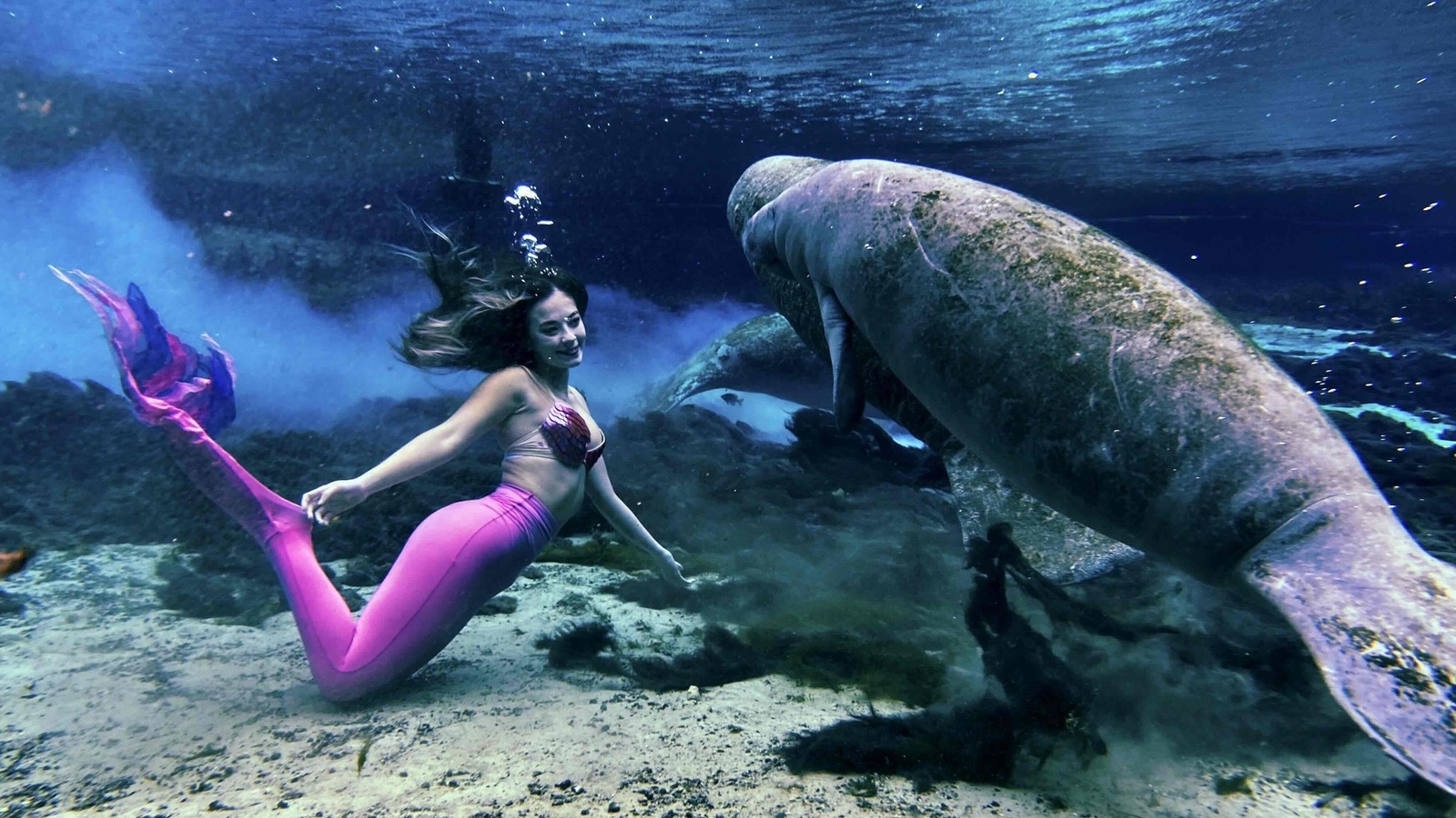 Encounter Real-Life Mermaids At This Central Florida State Park