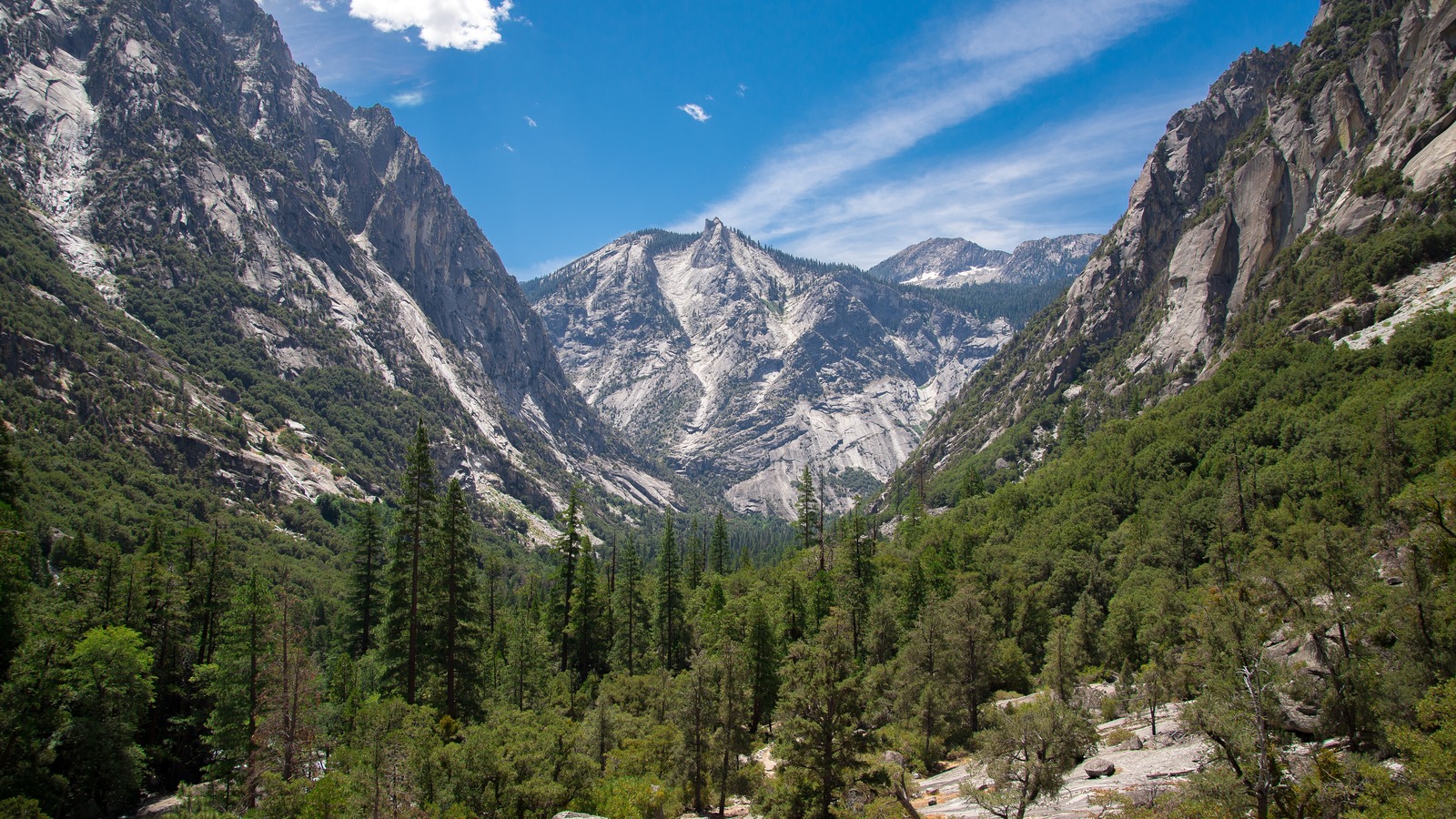 Sequoia National Park's 'Less-Loved Twin' Is A Realm Of Giant Trees And ...