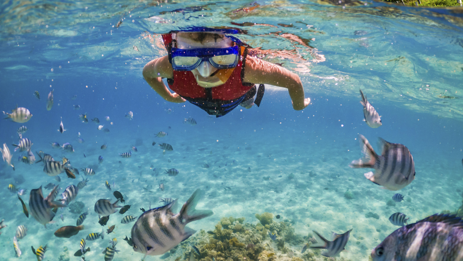 Should You Bring Your Own Snorkeling Gear While Traveling? Here's What ...