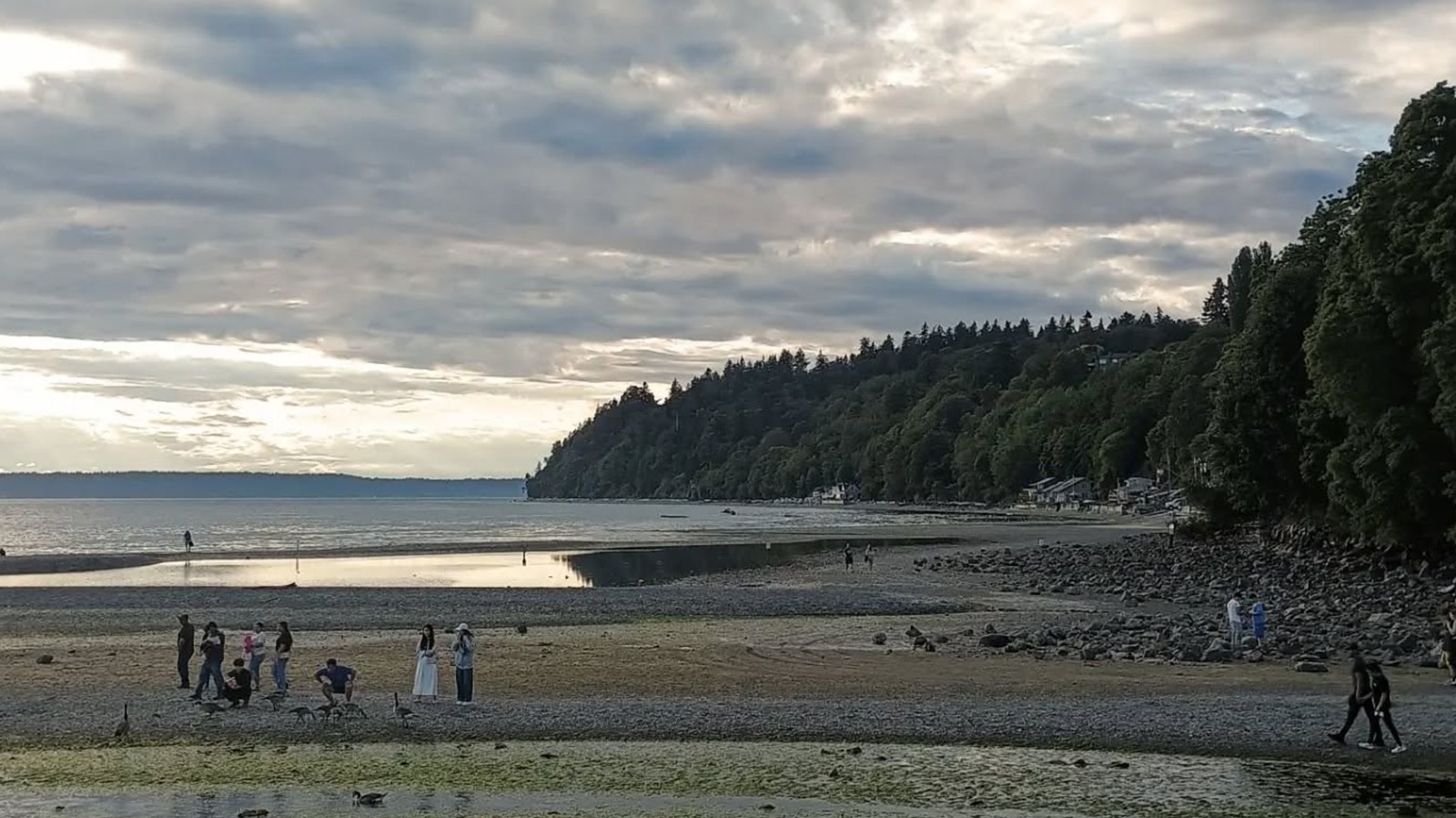 Situated Between Seattle And Tacoma Is Washington's Dreamy Beach Park ...