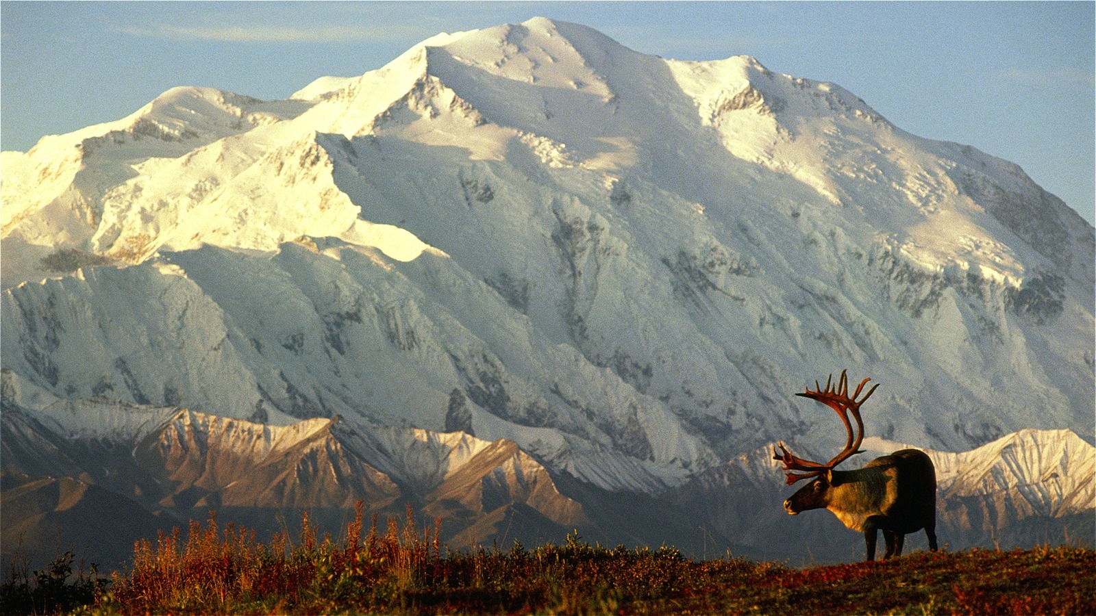 Sneaky Dangers That Make Climbing The Iconic Mount Denali So Risky