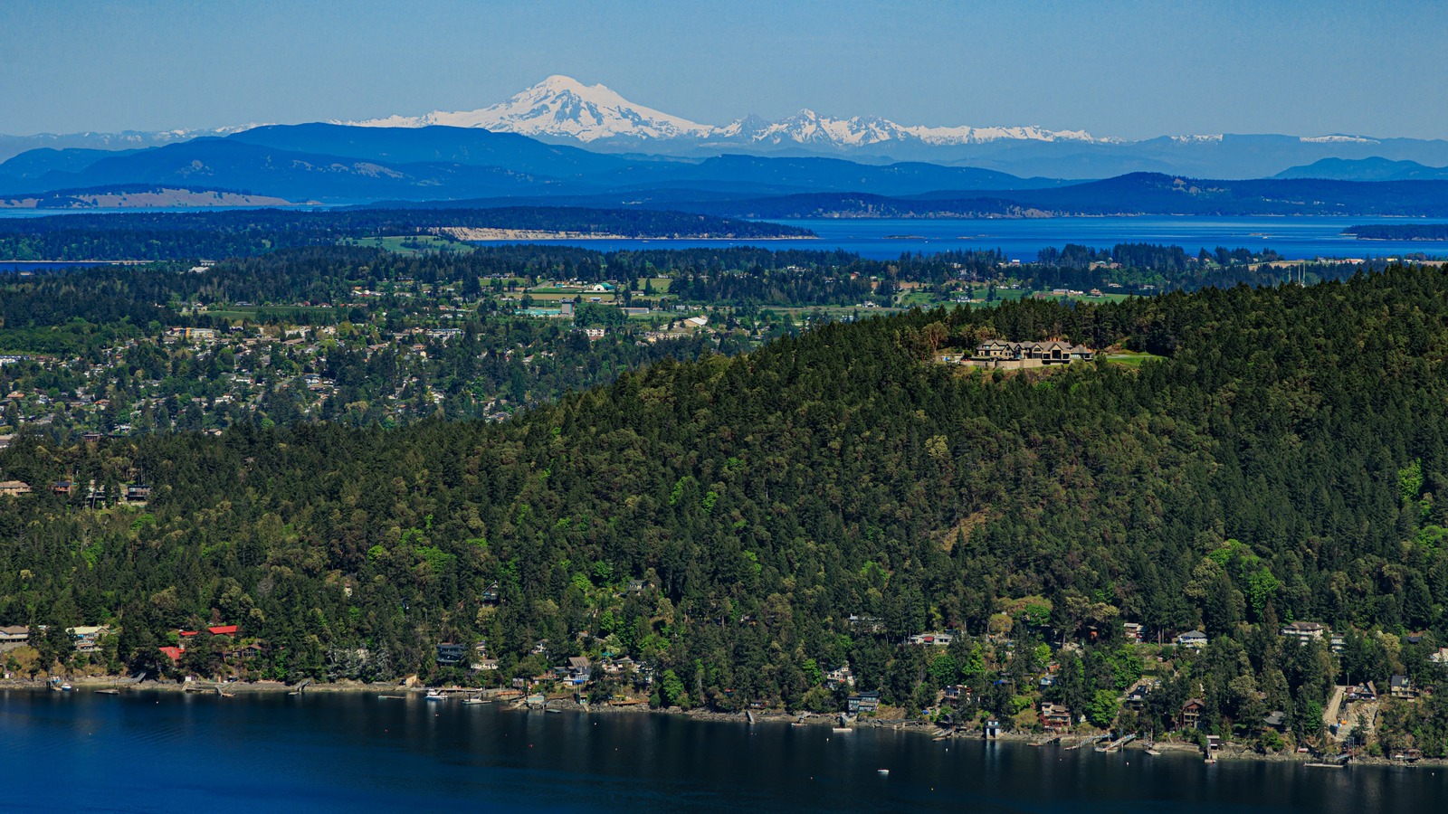 Soar Through The Treetops At Vancouver Island's Most Jaw-Dropping ...