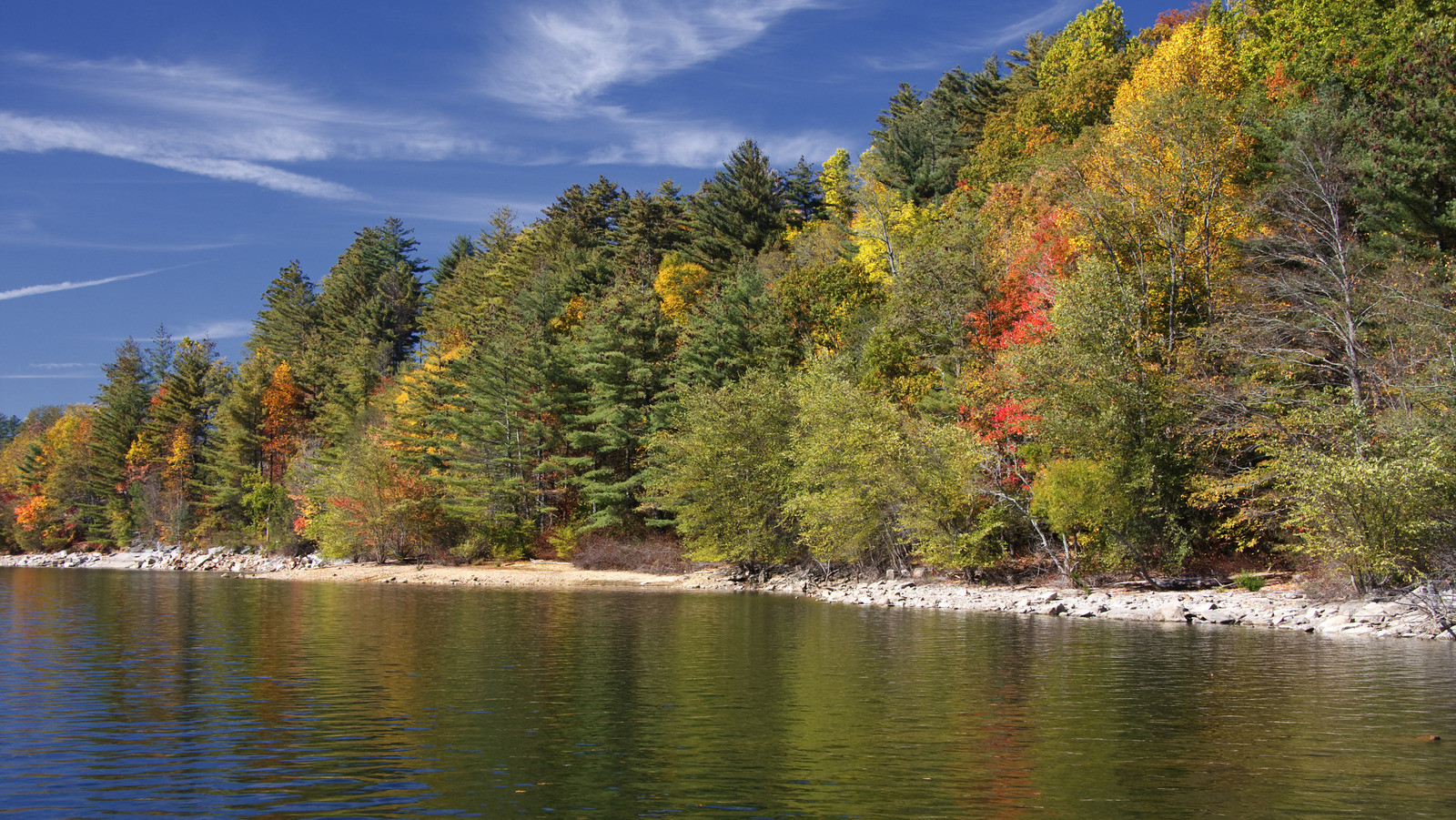 Some Of North Carolina's Most Pristine Waters Are Hiding In A Lake In ...