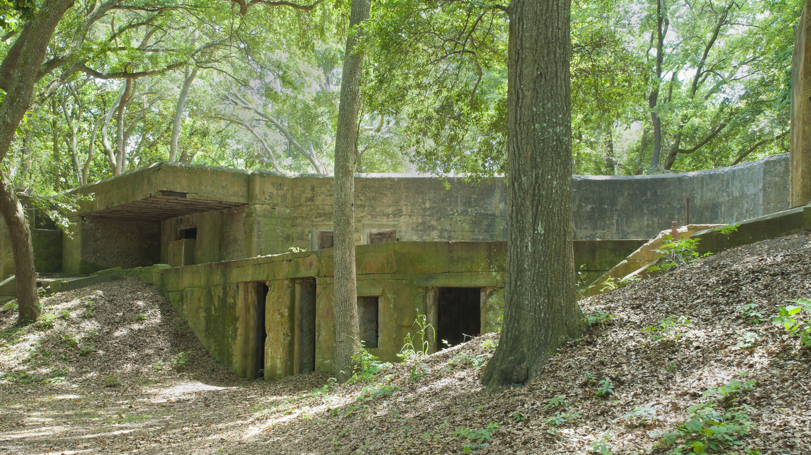 South Carolina's Abandoned Military Fort On The Coast Is Now A Historic ...