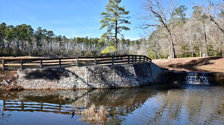 South Carolina's Hidden State Park Offers Clear-Water Fishing And ...