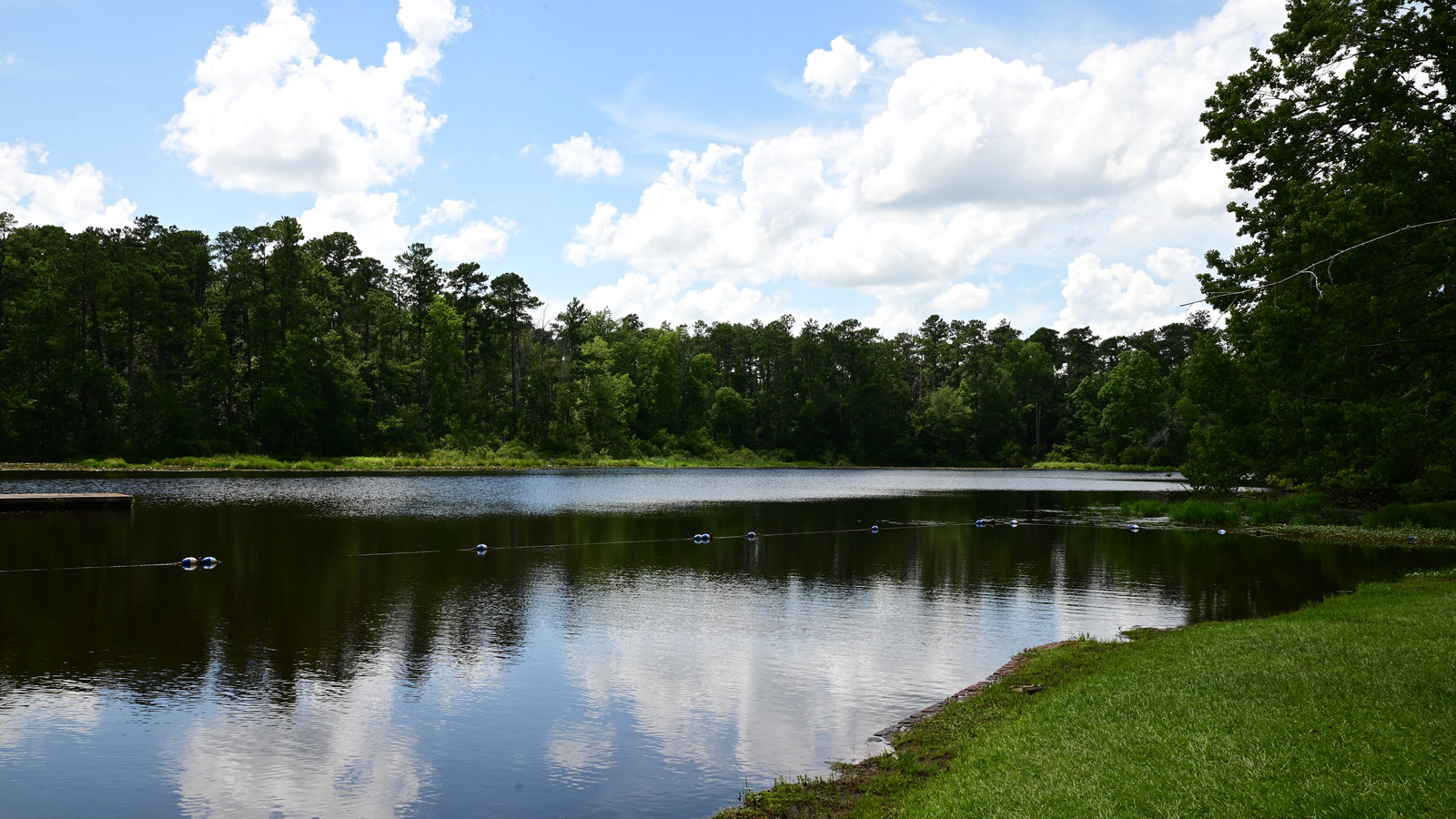 South Carolina's Hidden State Park Offers Clear-Water Fishing And ...